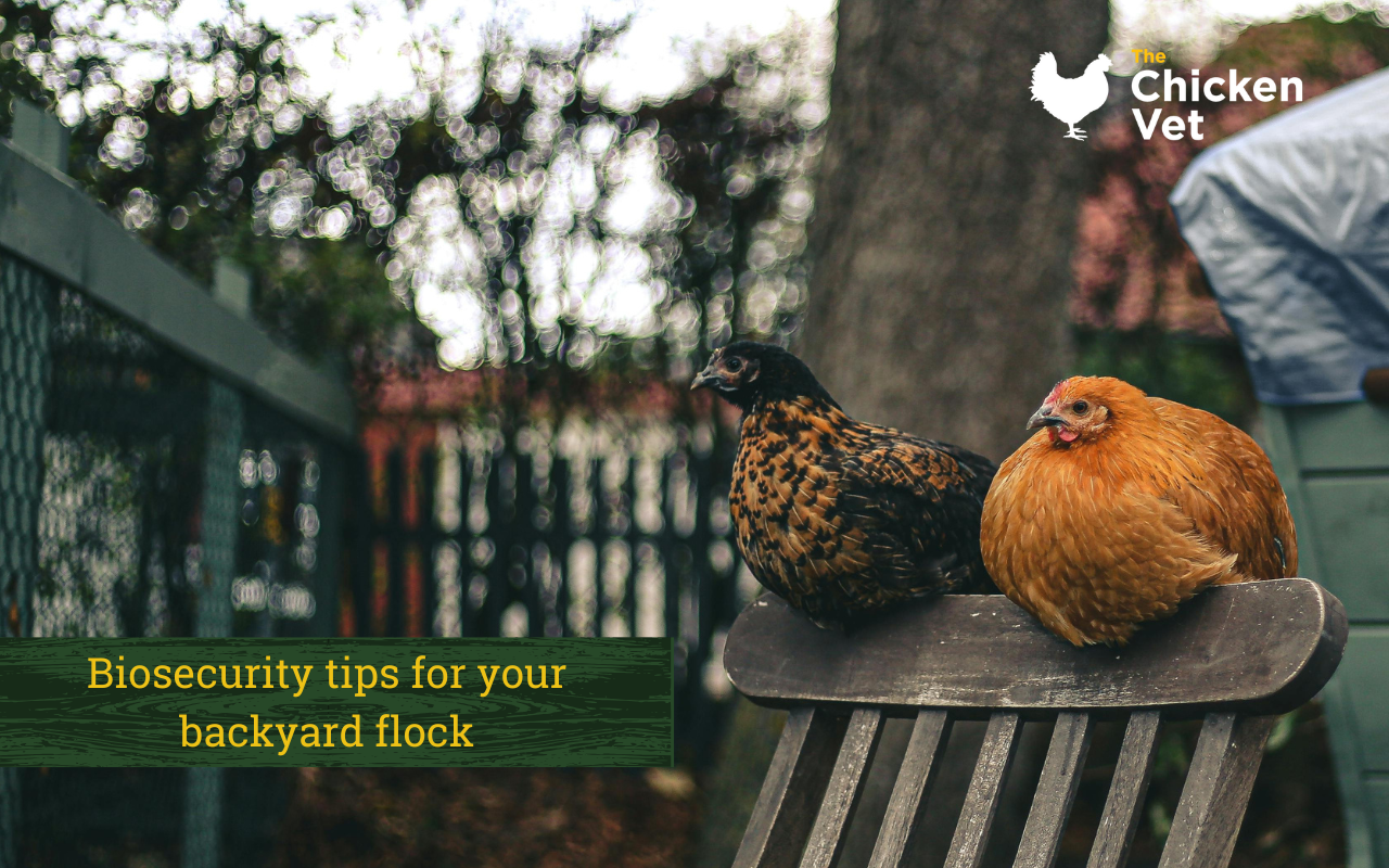 Biosecurity in backyard flocks