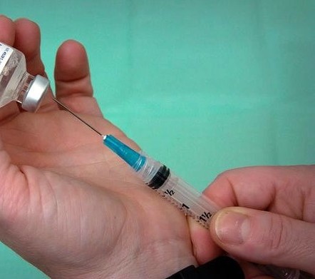 Vaccinating Poultry with the smaller flock in mind